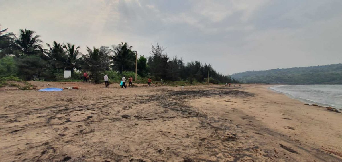 Gaaj Team Conducts a Successful Beach Clean up at Palshet beach - Gaaj ...